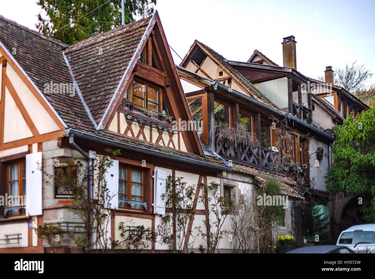 Classic french house in residential district of Strasbourg, blossom ...