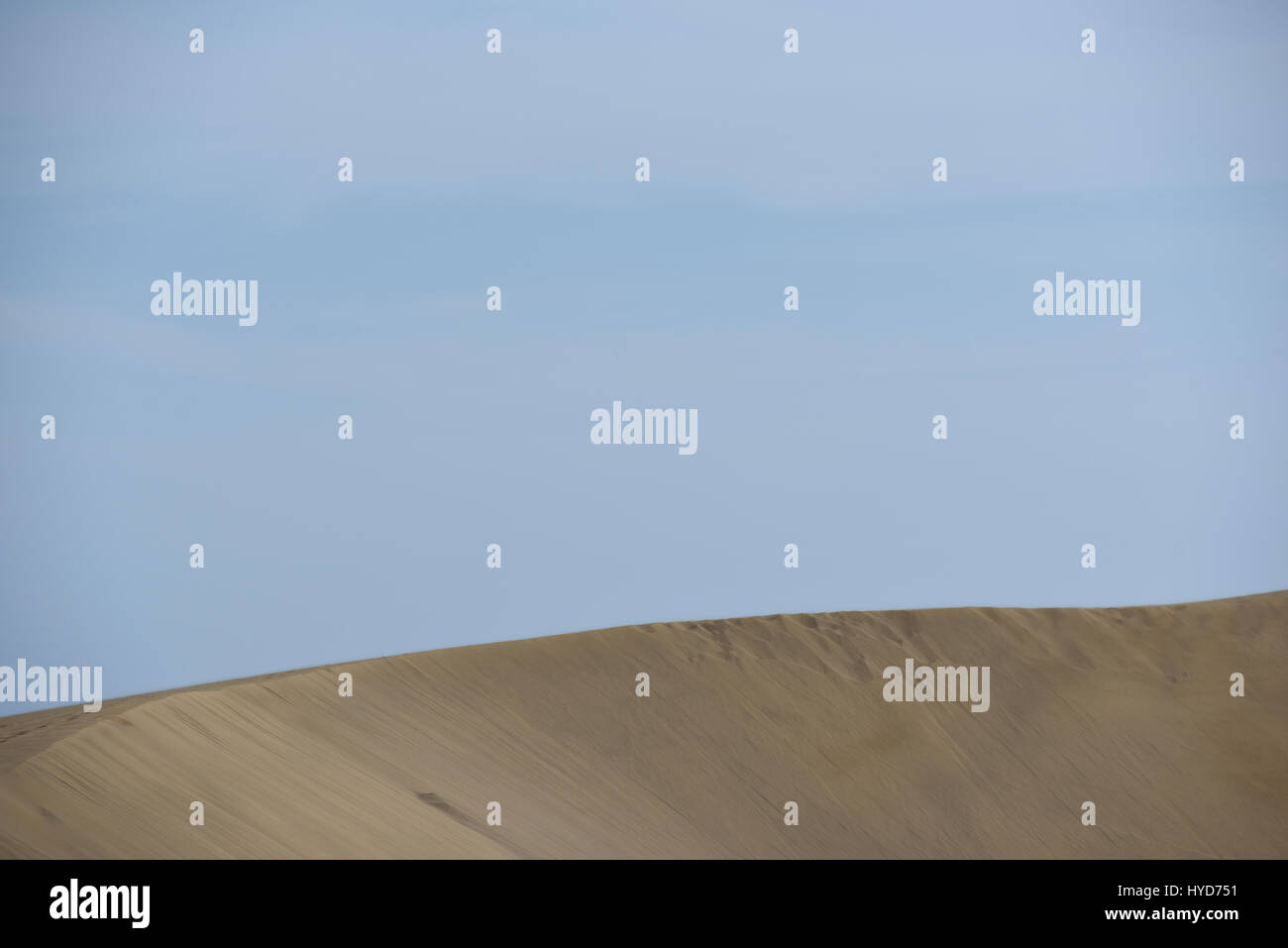 yellow pure sand dunes next to ocean Stock Photo - Alamy