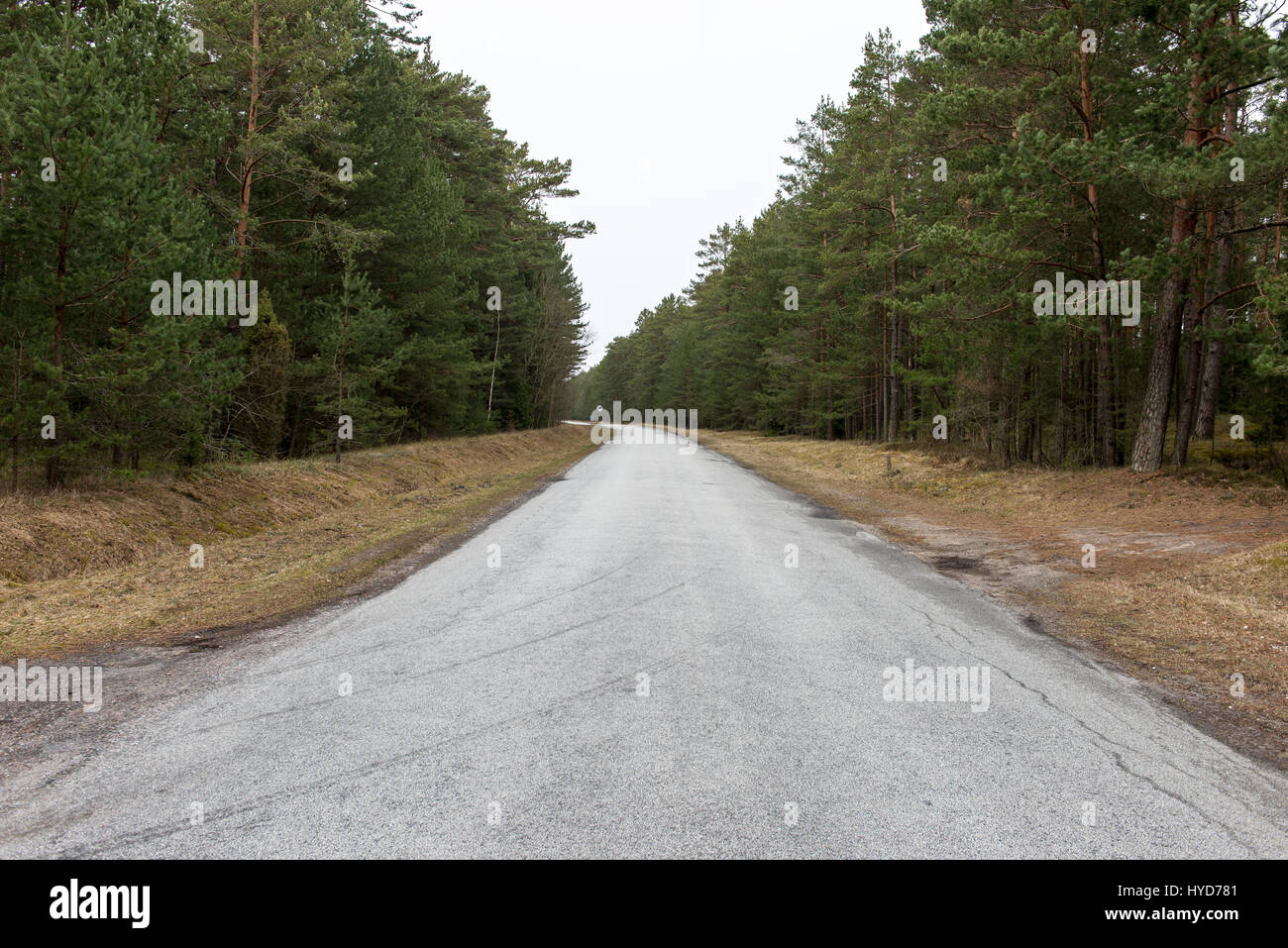 empty country road in spring with perspective and shadows Stock Photo ...