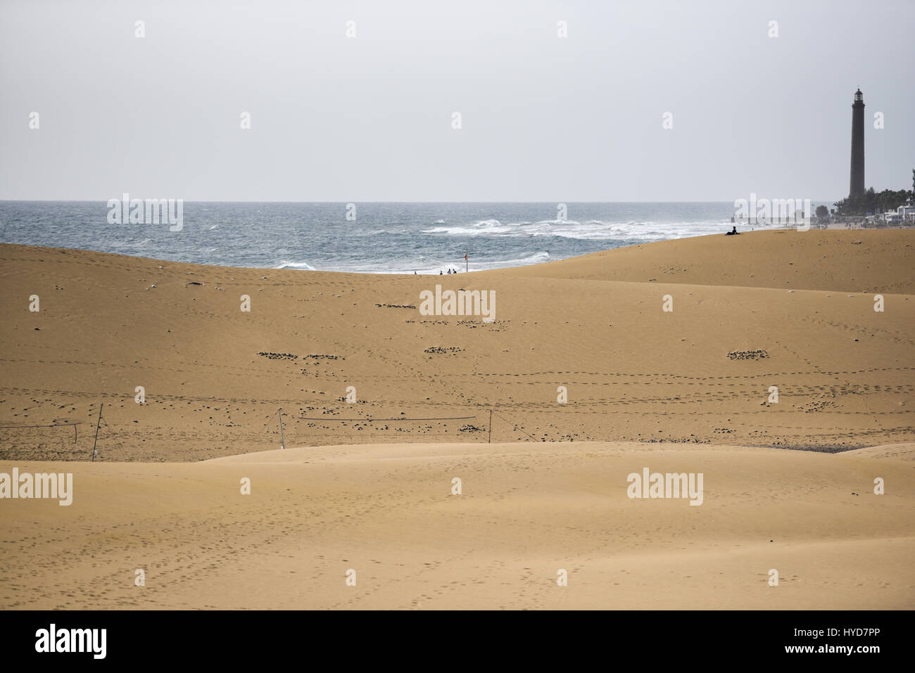 yellow pure sand dunes next to ocean Stock Photo - Alamy