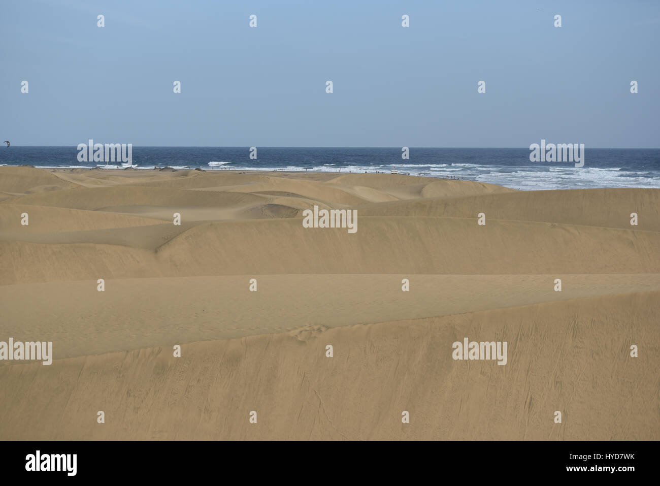 yellow pure sand dunes next to ocean Stock Photo - Alamy