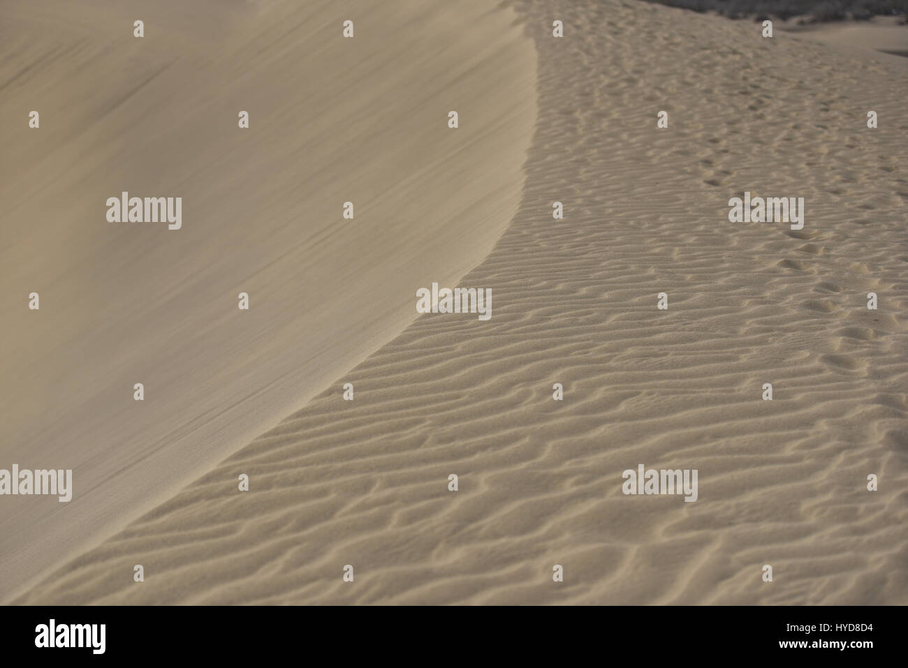 yellow pure sand dunes next to ocean Stock Photo - Alamy