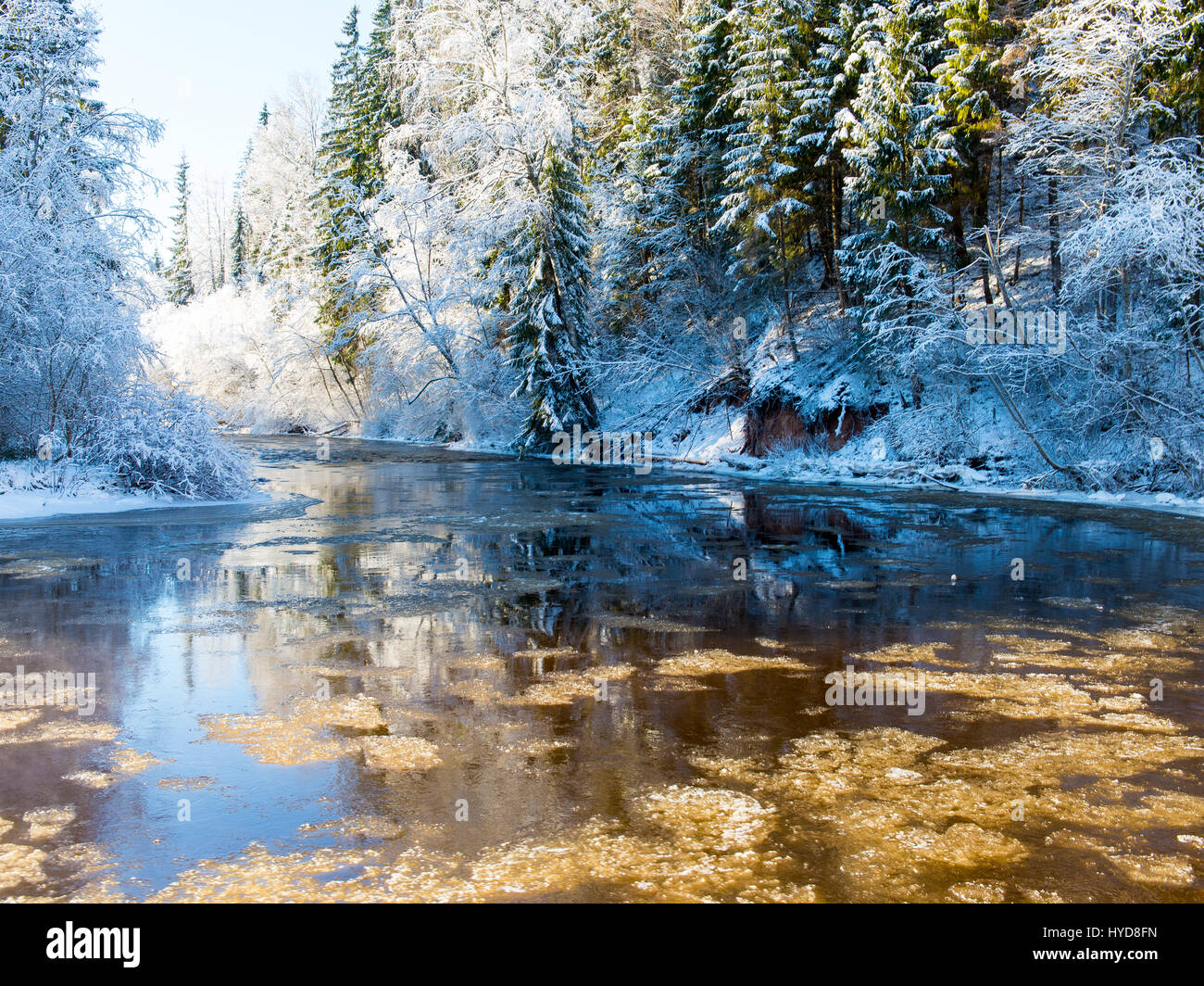 snowy winter river landscape with snow covered trees and blue sky Stock ...