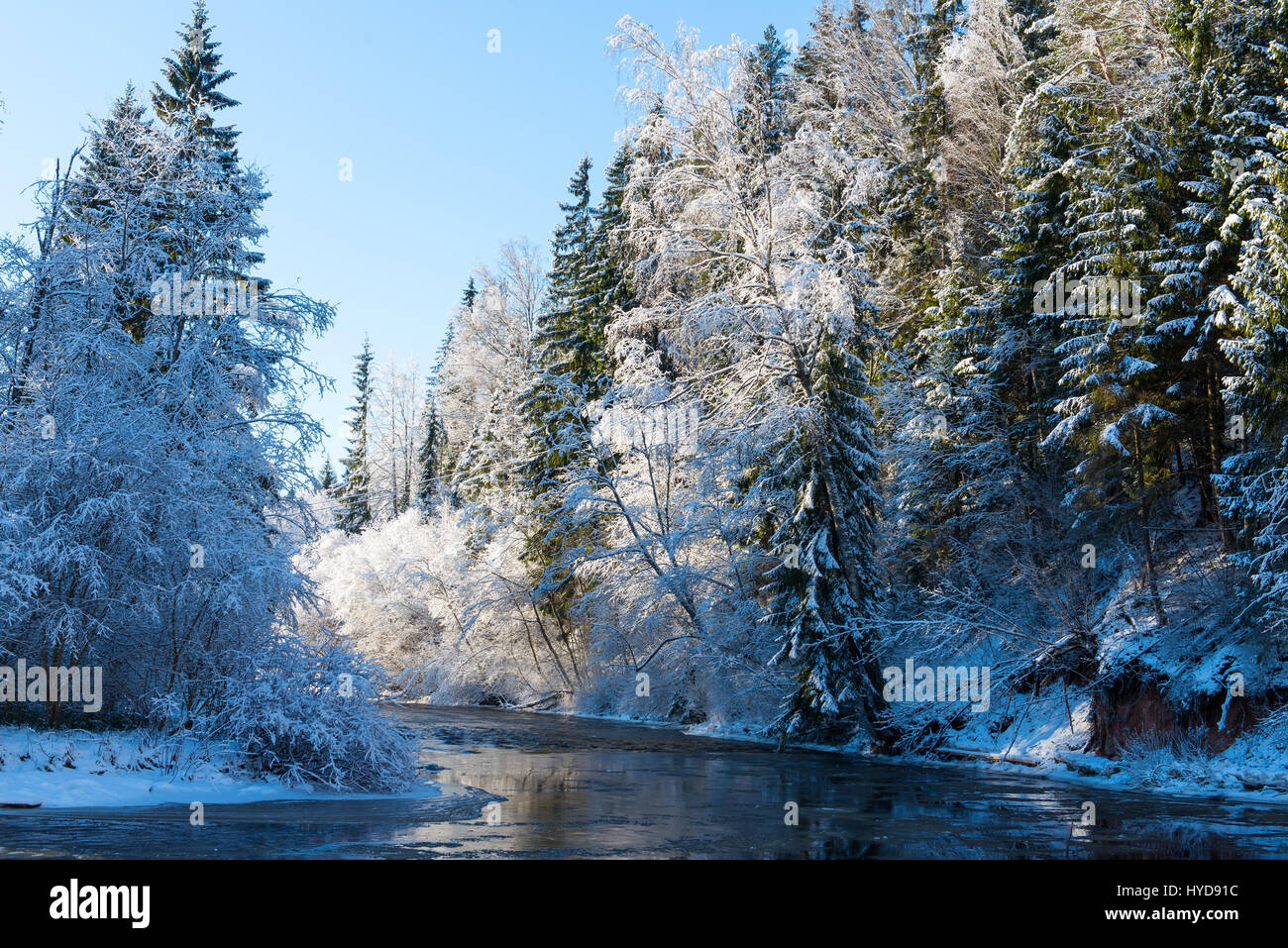 snowy winter river landscape with snow covered trees and blue sky Stock ...