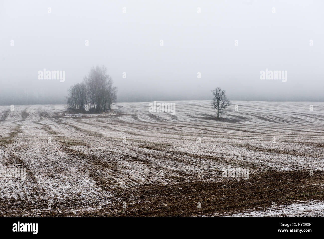 countryside fields in early spring with clouds and farmland Stock Photo ...