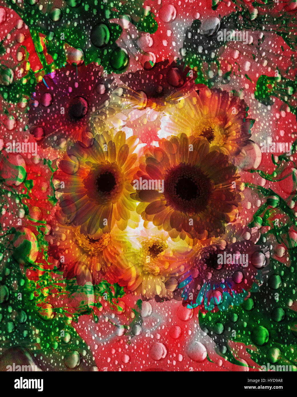 DIGITAL ART: Floral Gift Wrap Design Stock Photo - Alamy