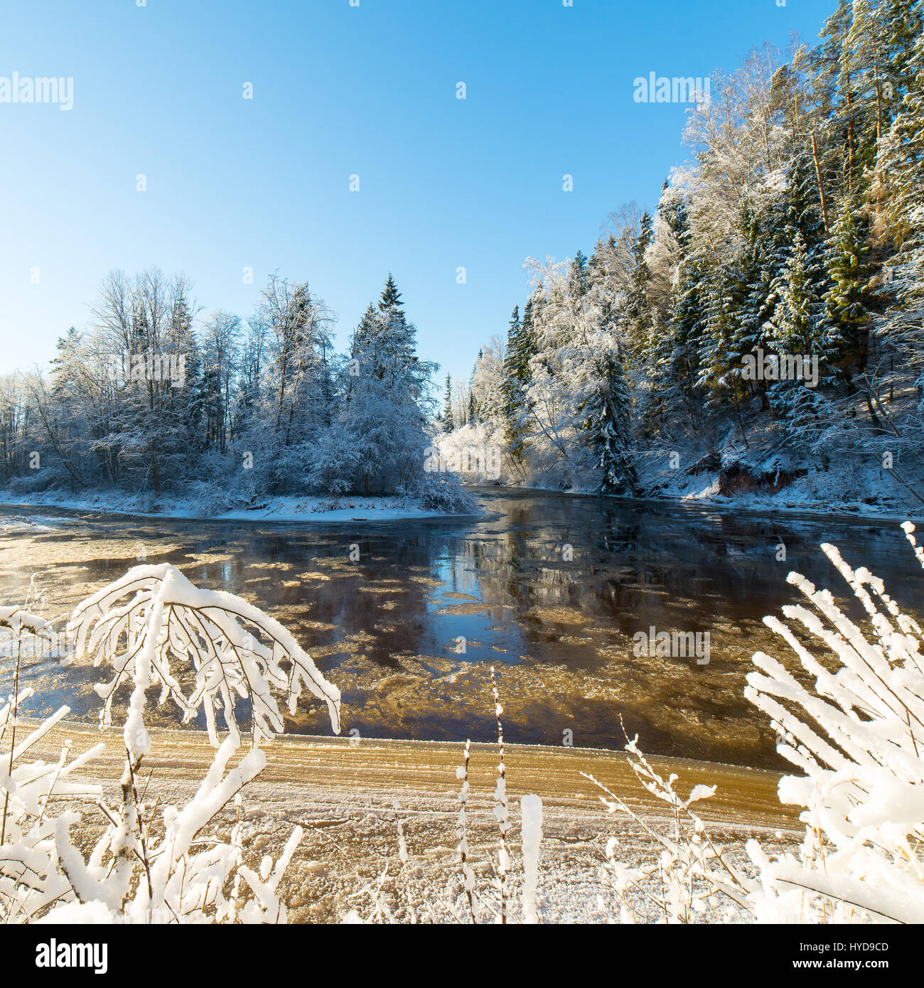 snowy winter river landscape with snow covered trees and blue sky Stock ...