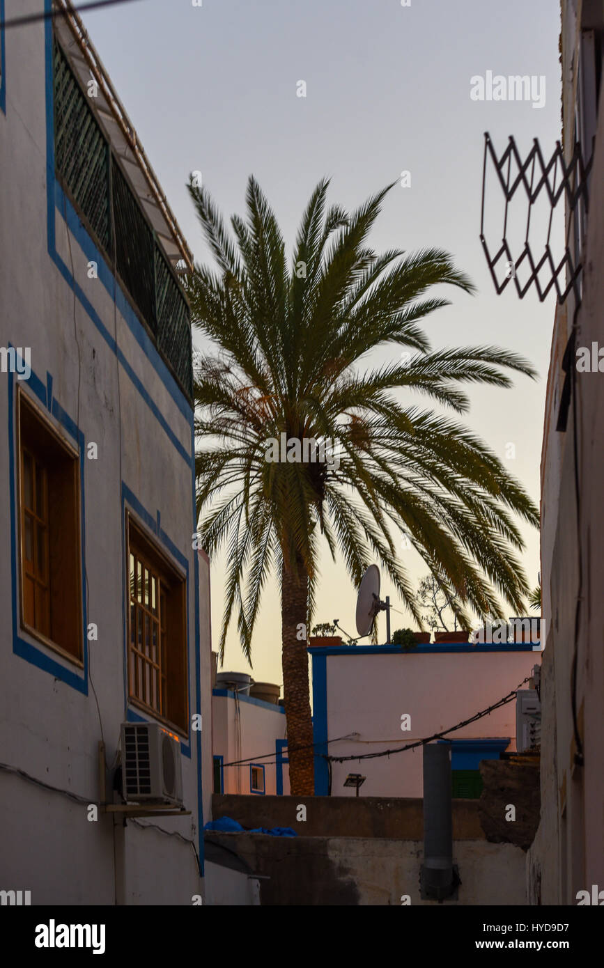 White sand palm trees house hi-res stock photography and images - Alamy