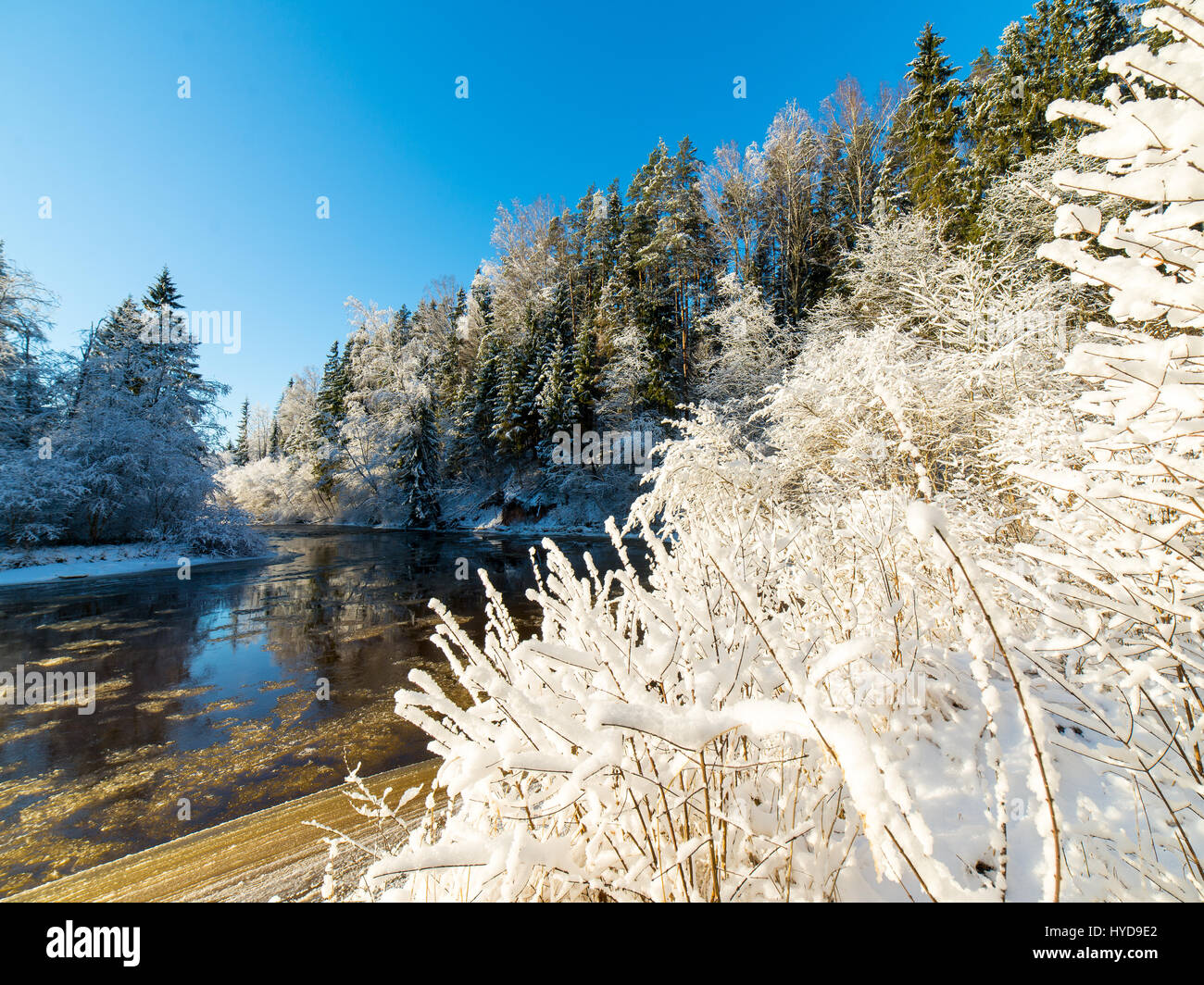 snowy winter river landscape with snow covered trees and blue sky Stock ...