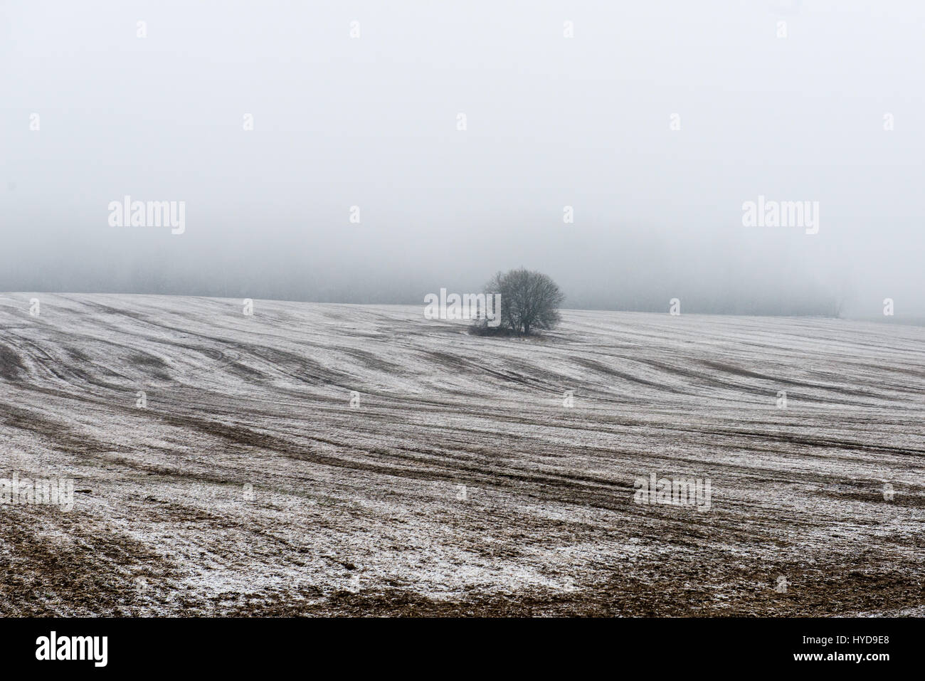 countryside fields in early spring with clouds and farmland Stock Photo ...