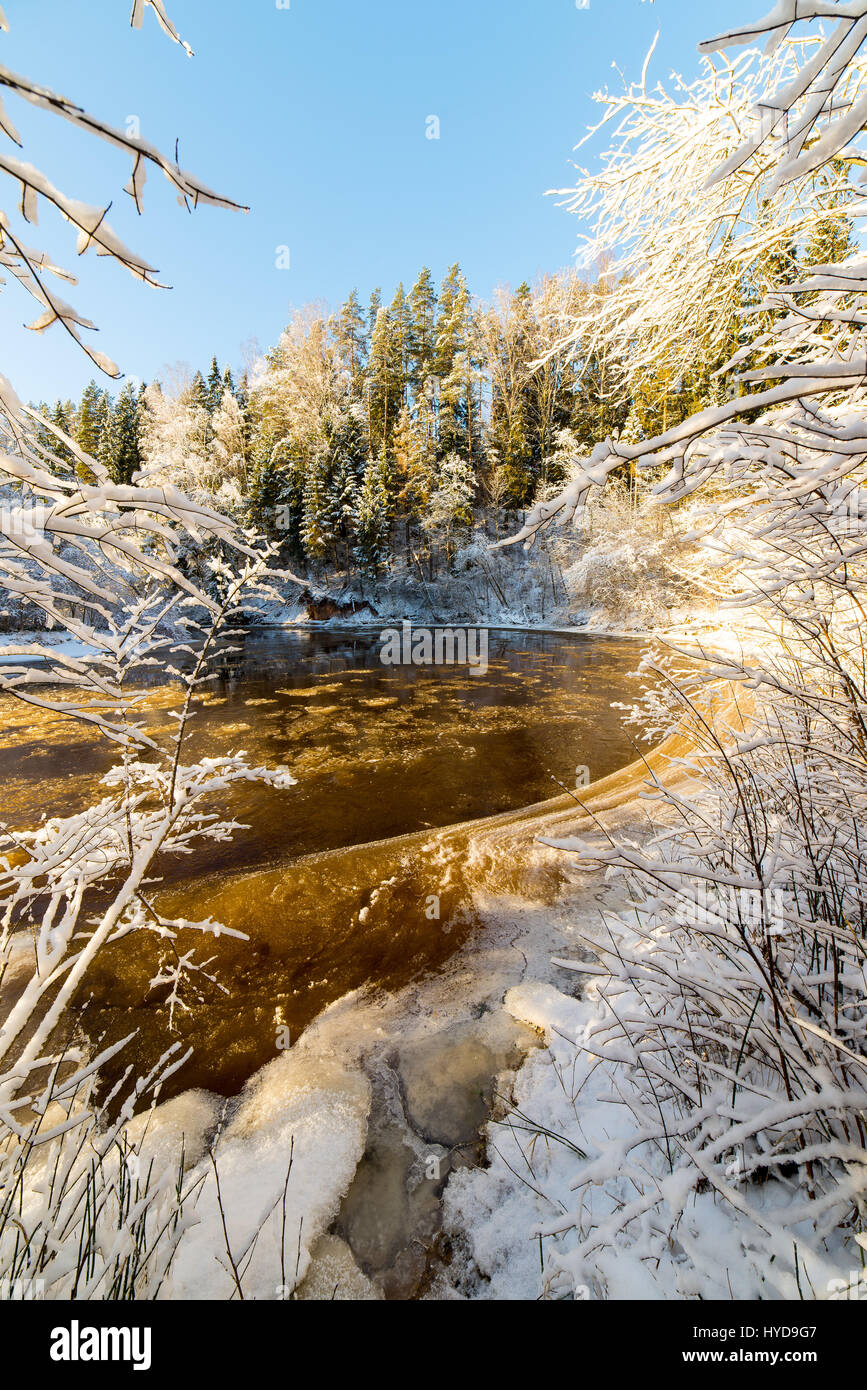 snowy winter river landscape with snow covered trees and blue sky Stock ...