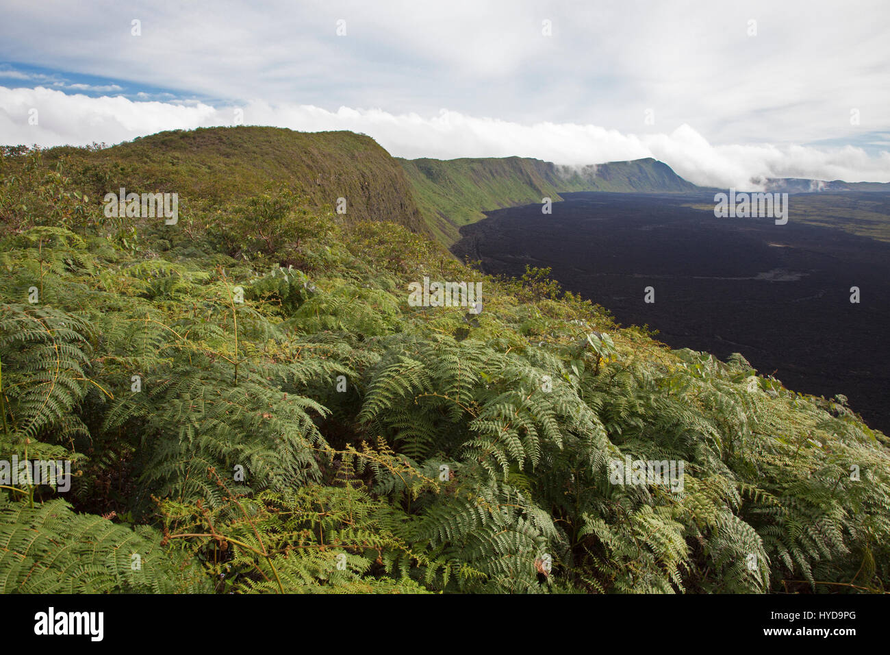 Isabela Island Galapagos Volcano High Resolution Stock Photography and ...