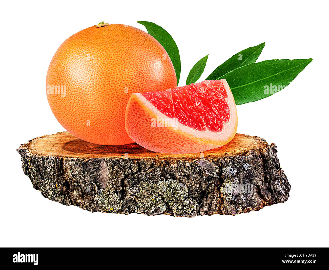 grapefruit on a wooden сross section of tree trunk isolated on white ...