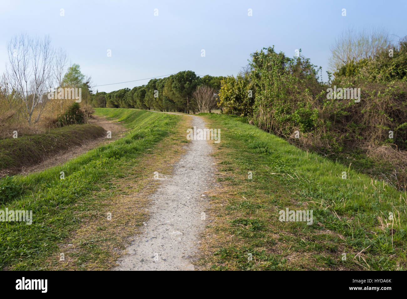 Green countryside path, hill landscape, among trees Stock Photo - Alamy
