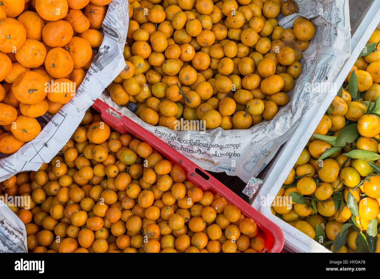 A lot of oranges and clementines in boxes and baskets at the Zegyo ...