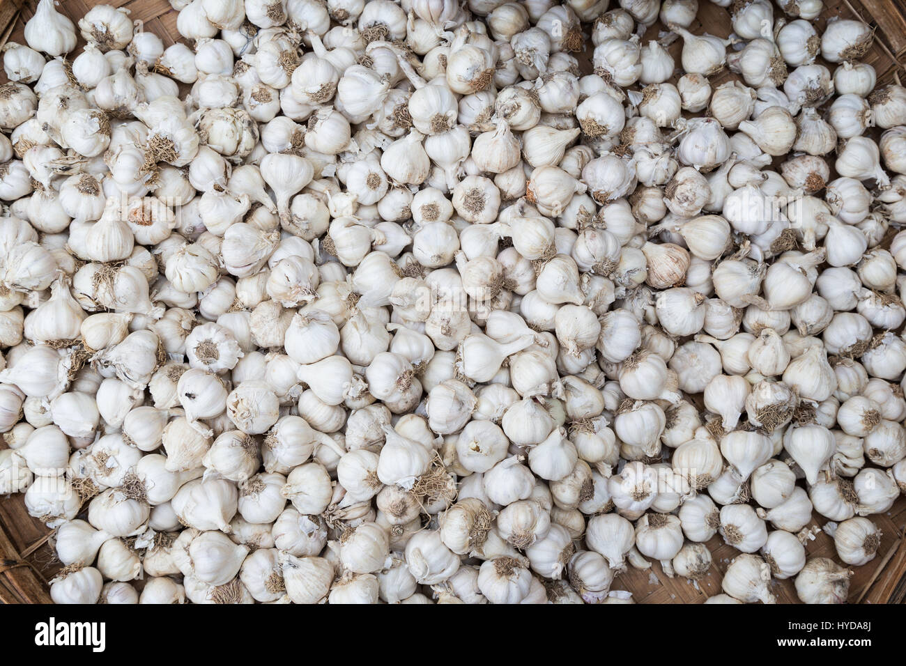 A lot of whole garlics in a woven basket at the Zegyo (also known as ...