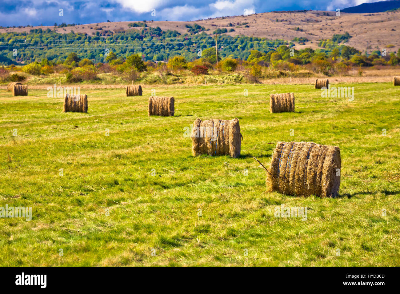 Agricultural landscape of Lika region, hay bales on Krbava field ...
