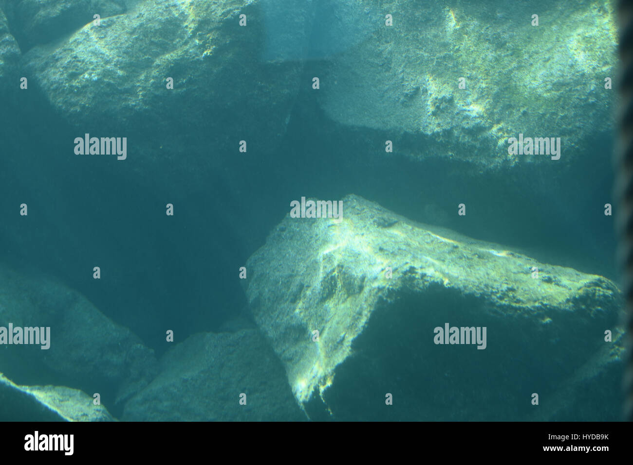 Bottom of the sea Stock Photo - Alamy