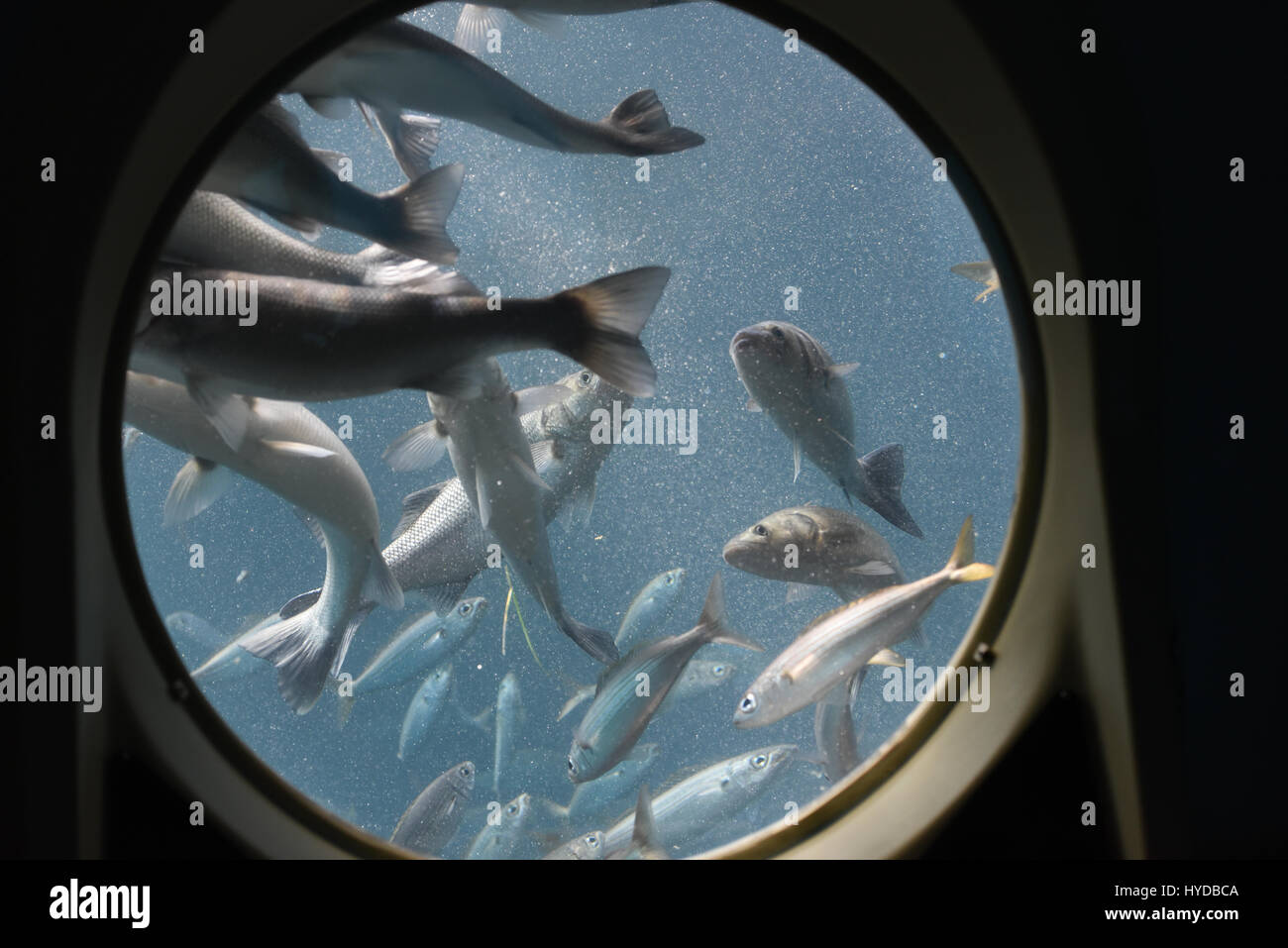 Hydraulic system underwater hi-res stock photography and images - Alamy