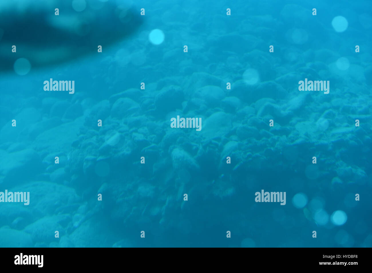 Underwater scenery of deep blue ocean Stock Photo - Alamy