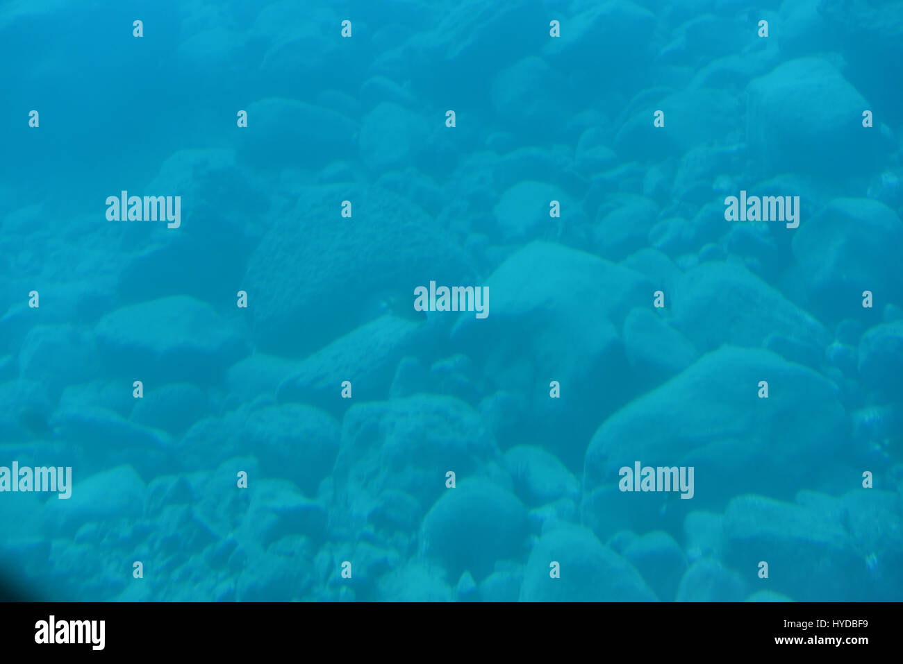 Underwater scenery of deep blue ocean Stock Photo - Alamy