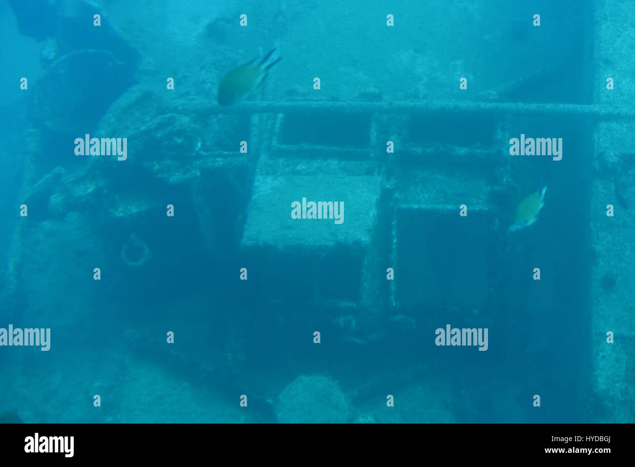 Sunken ship under water underwater reef treasure Stock Photo - Alamy