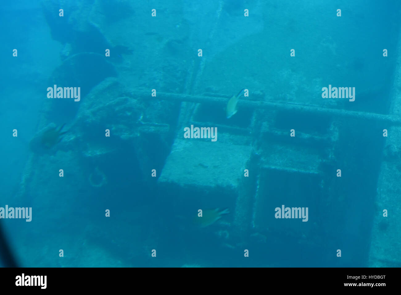 Sunken ship under water underwater reef treasure Stock Photo - Alamy