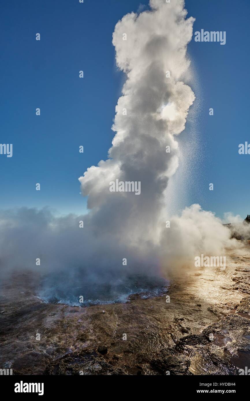Erupting geyser in sunlight Stock Photo - Alamy