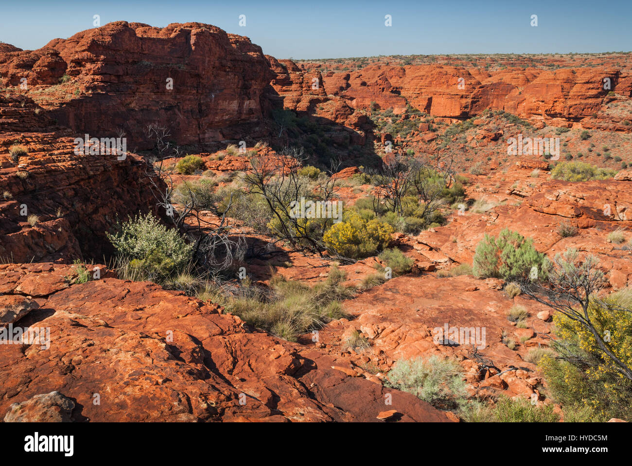 Kings canyon australian outback hi-res stock photography and images - Alamy