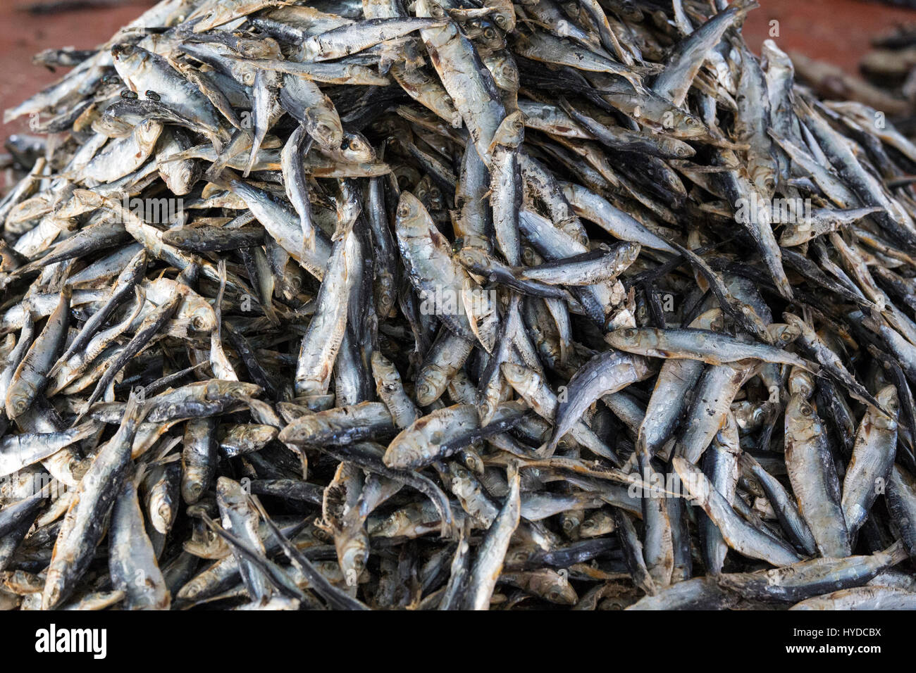 dried fish on a market at Flores, Indonesia Stock Photo - Alamy