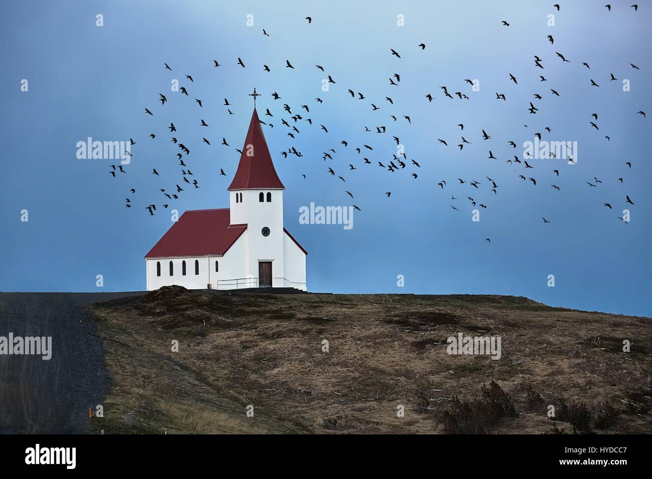 Church and flock of birds Stock Photo - Alamy
