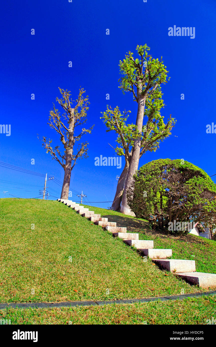 Takakurazuka-Kofun Ancient Grave Mound in Fuchu city Tokyo Japan Stock ...
