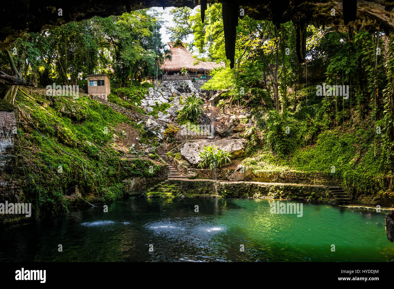 Cenote Zaci - Valladolid, Mexico Stock Photo - Alamy
