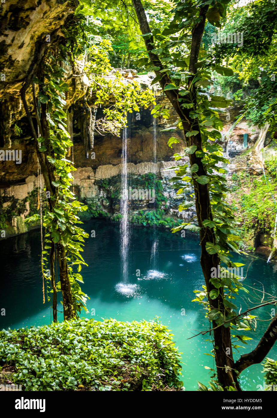 Cenote Zaci - Valladolid, Mexico Stock Photo - Alamy