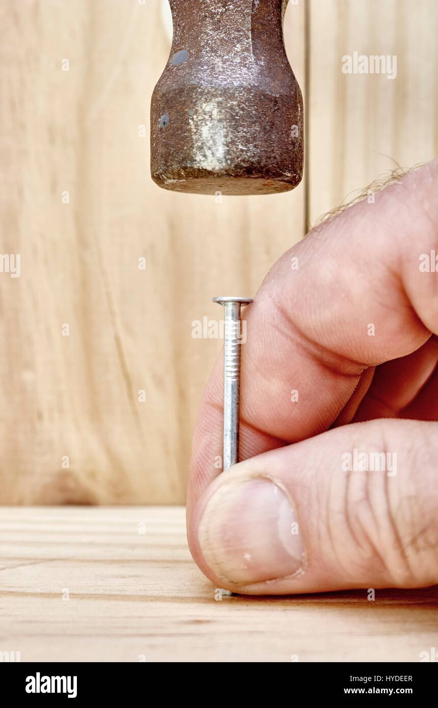 A studio photo of nailing into wood Stock Photo - Alamy