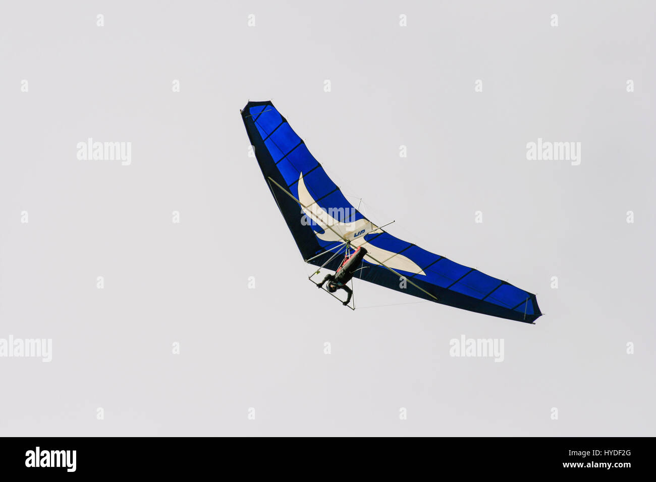 Hang glider wings hi-res stock photography and images - Alamy
