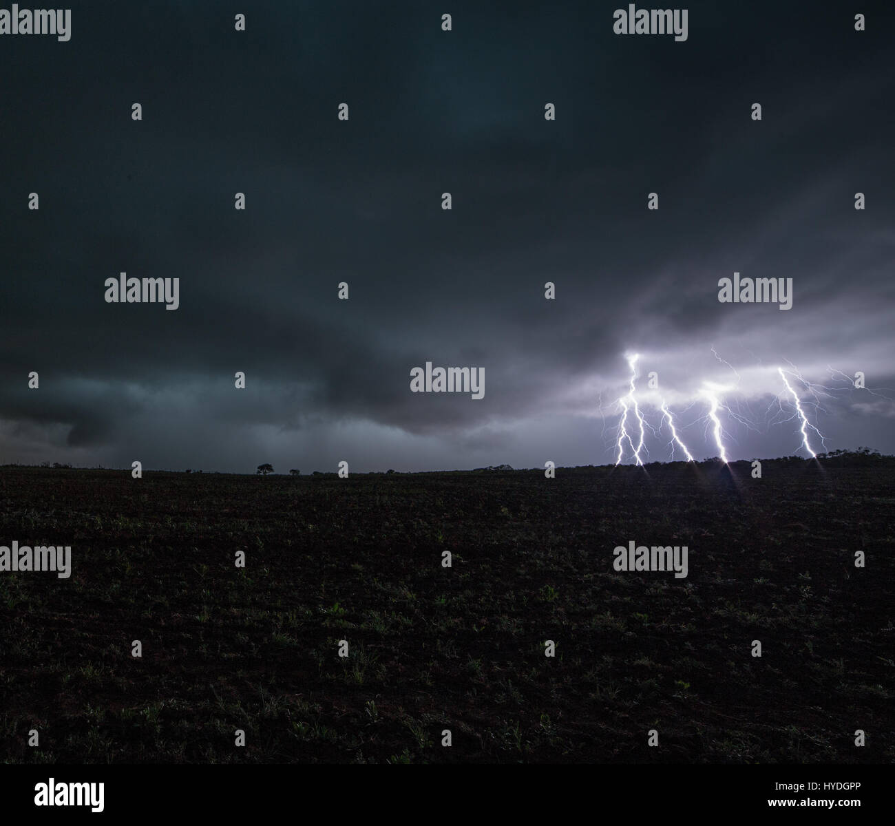 Multiple Lightning Strikes Stock Photos & Multiple Lightning Strikes ...