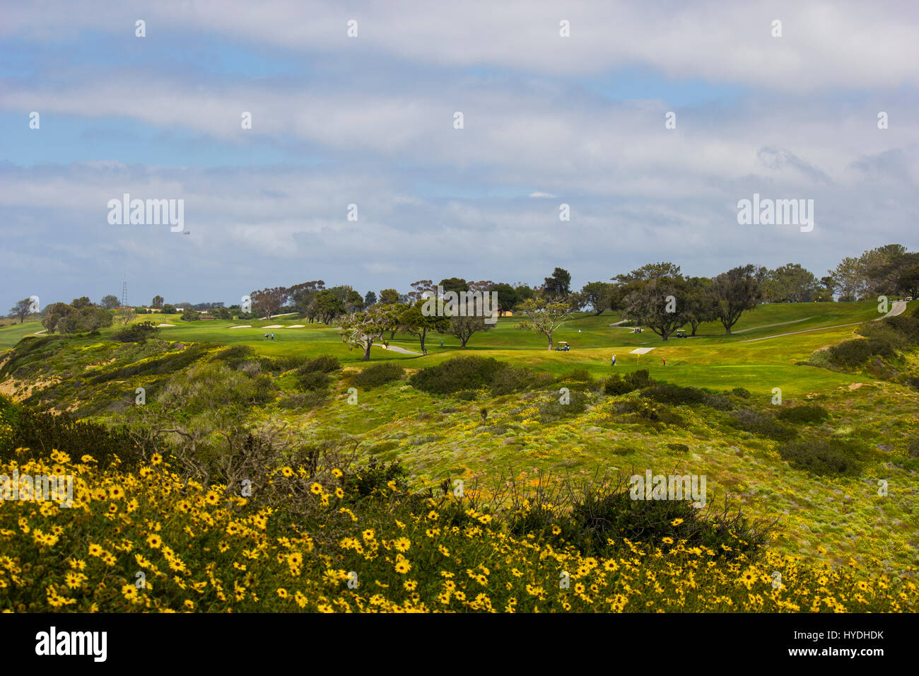 Golf course flowers hi-res stock photography and images - Alamy