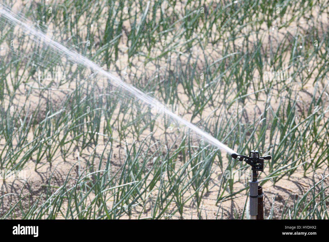 Sprinkler machine hi-res stock photography and images - Alamy