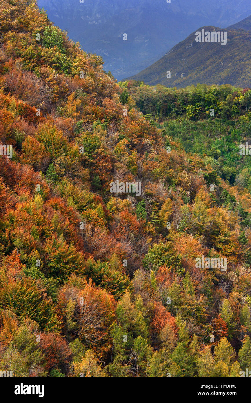 A mountain flank in Susa Valley, one of the many valleys of the Western ...