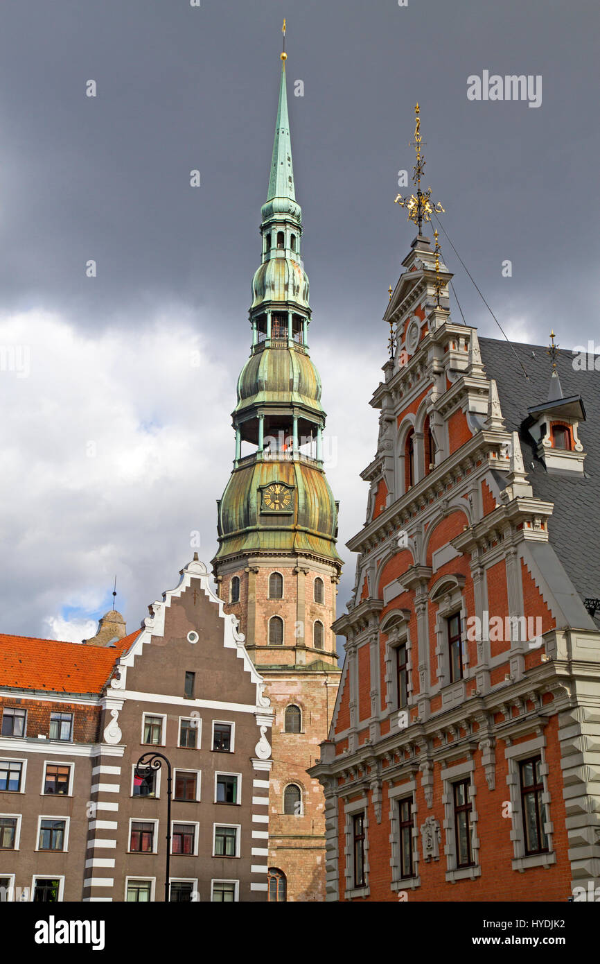 Rogas High Resolution Stock Photography and Images - Alamy