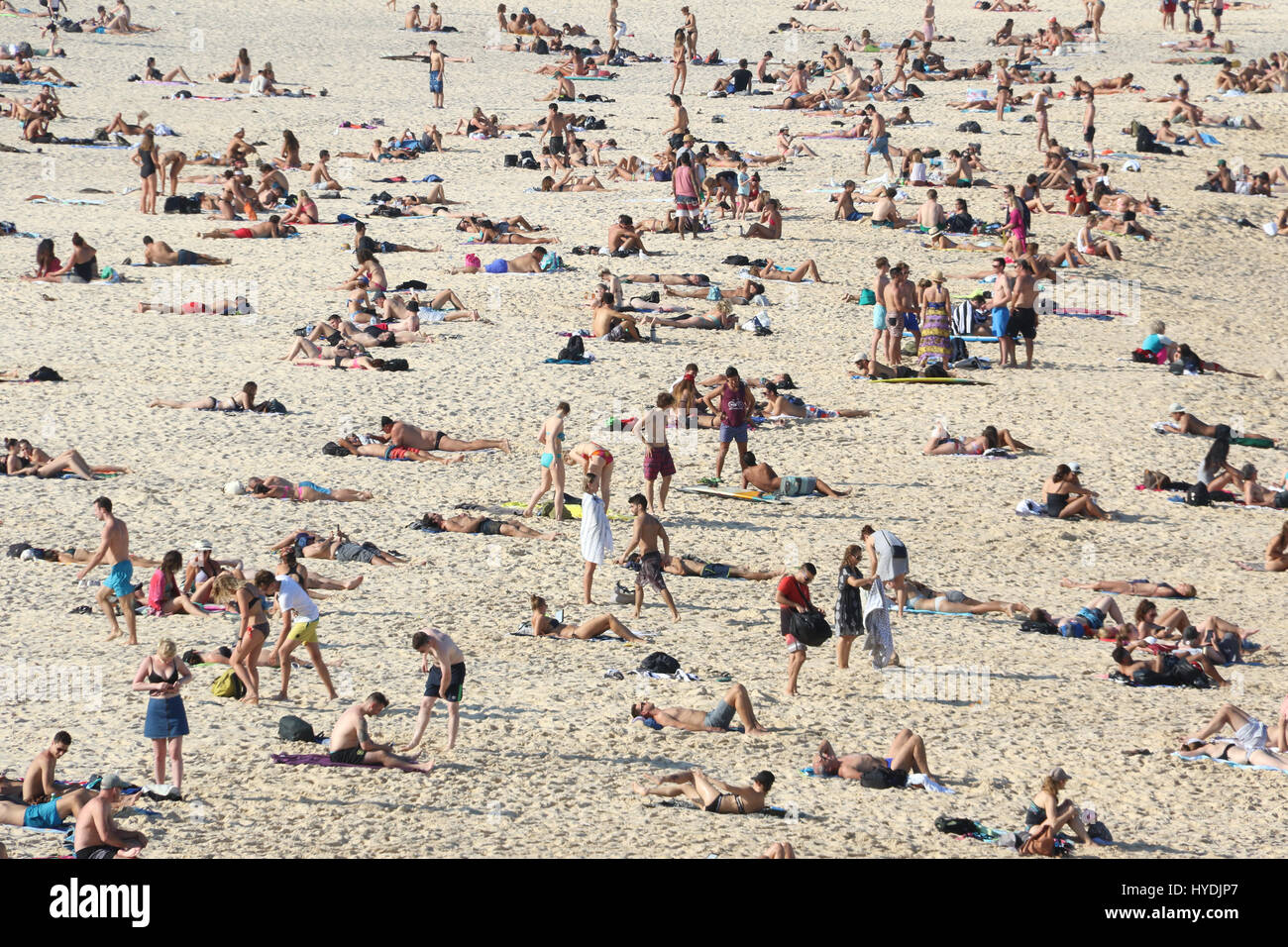 People on the beach at Bondi Beach in Sydney, Australia Stock Photo - Alamy