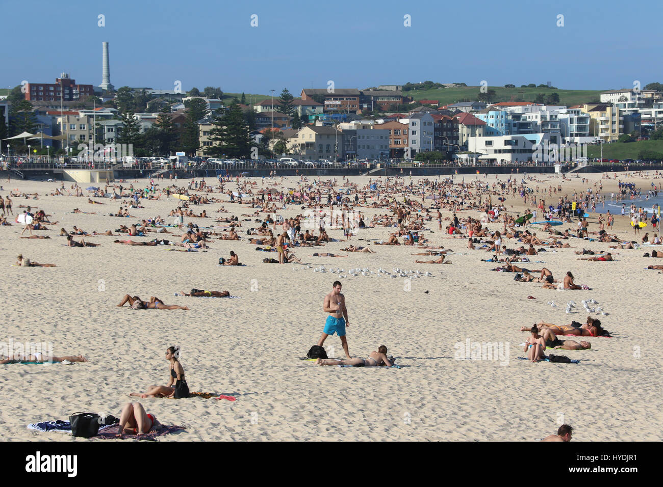 People on the beach at Bondi Beach in Sydney, Australia Stock Photo - Alamy