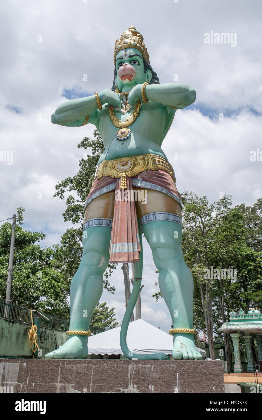 Hanuman monkey hi-res stock photography and images - Alamy