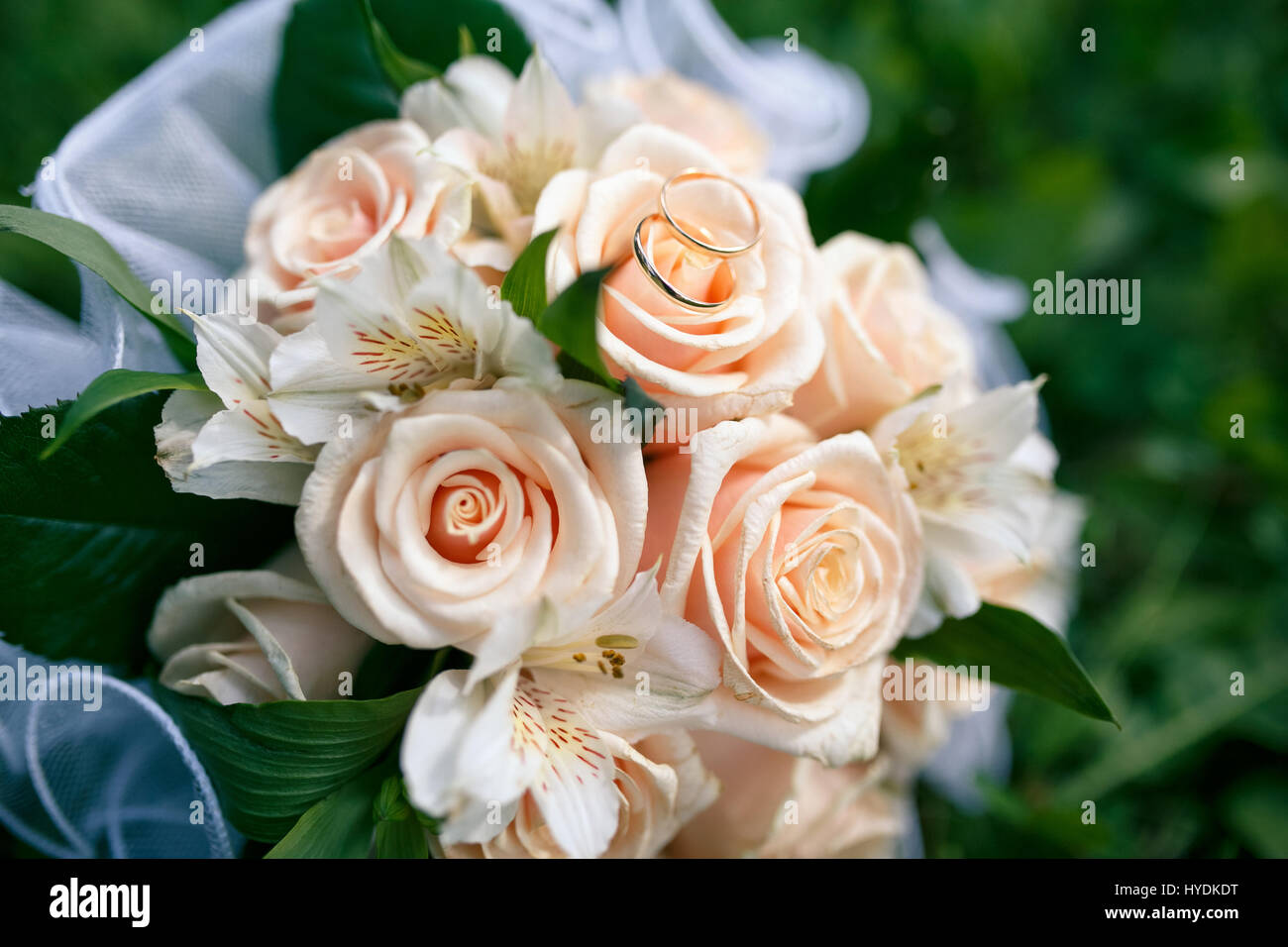 Peach colored roses hi-res stock photography and images - Alamy