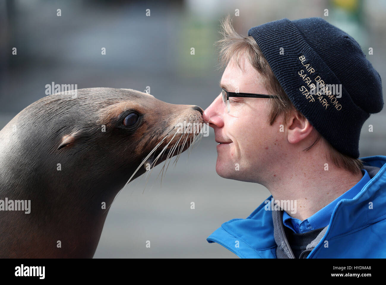 Previously unissued photograph dated 22/03/17 of Bella the California ...