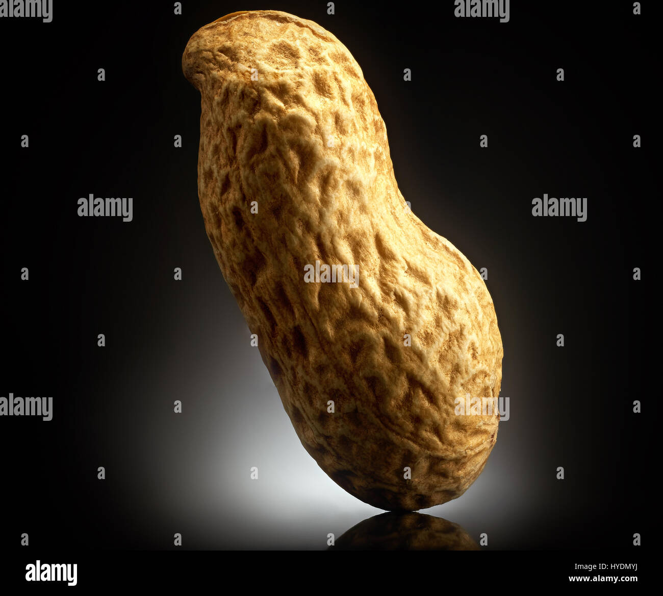 Peanut on black background. Close-up or macro Stock Photo - Alamy