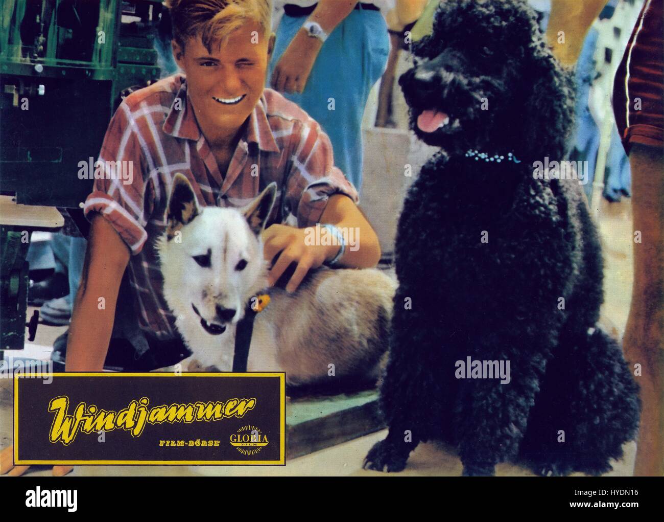 Windjammer: The Voyage of the Christian Radich, aka: Windjammer, USA ...