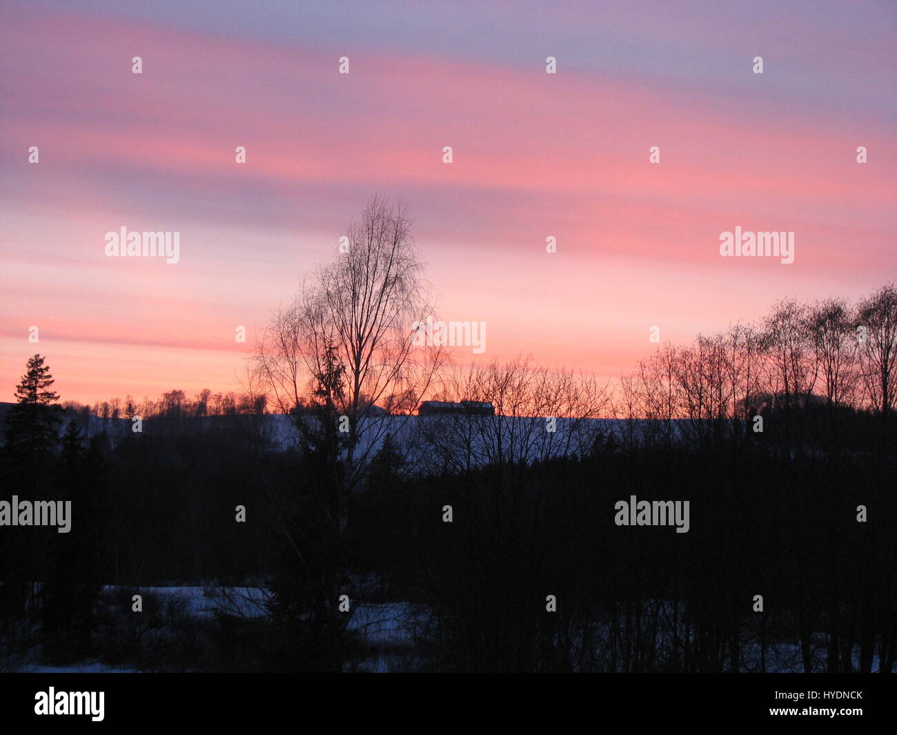 Gold burning sunset silhouette hi-res stock photography and images - Alamy