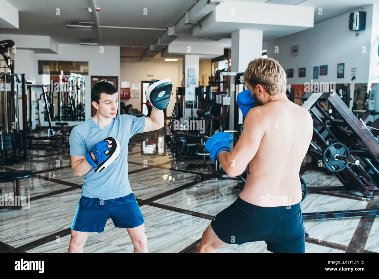 Concentrated boxer beard in boxing hi-res stock photography and images ...
